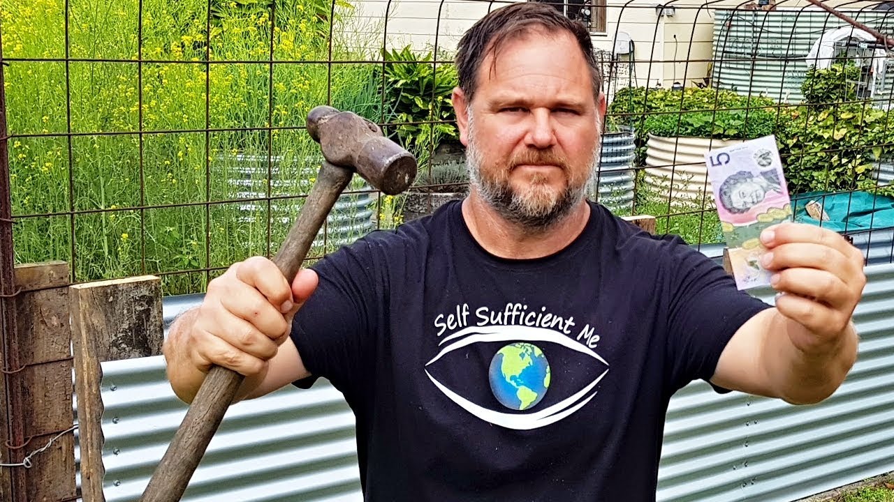 Too expensive to grow your own food?