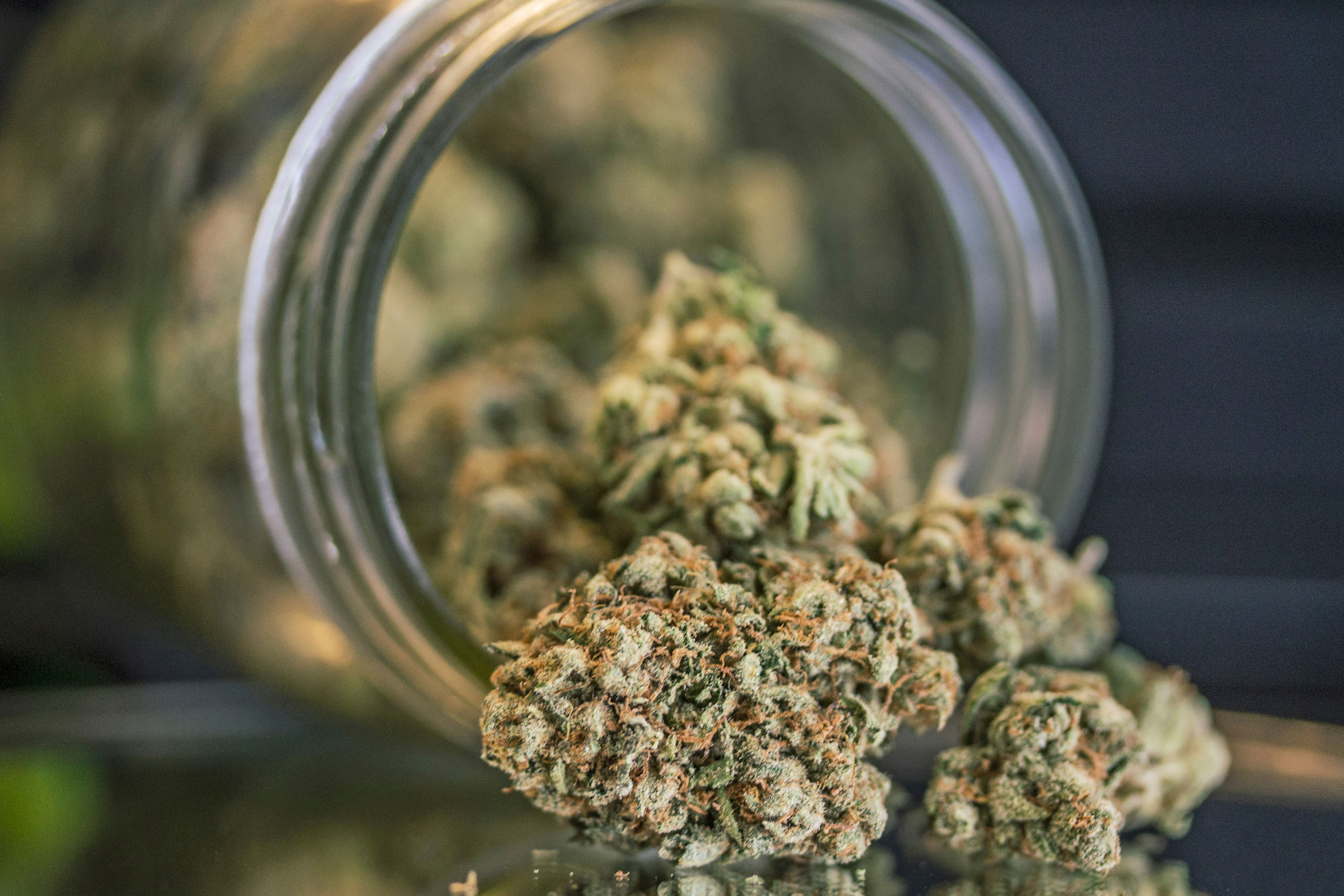 Signatures to back Florida recreational-marijuana constitutional ...