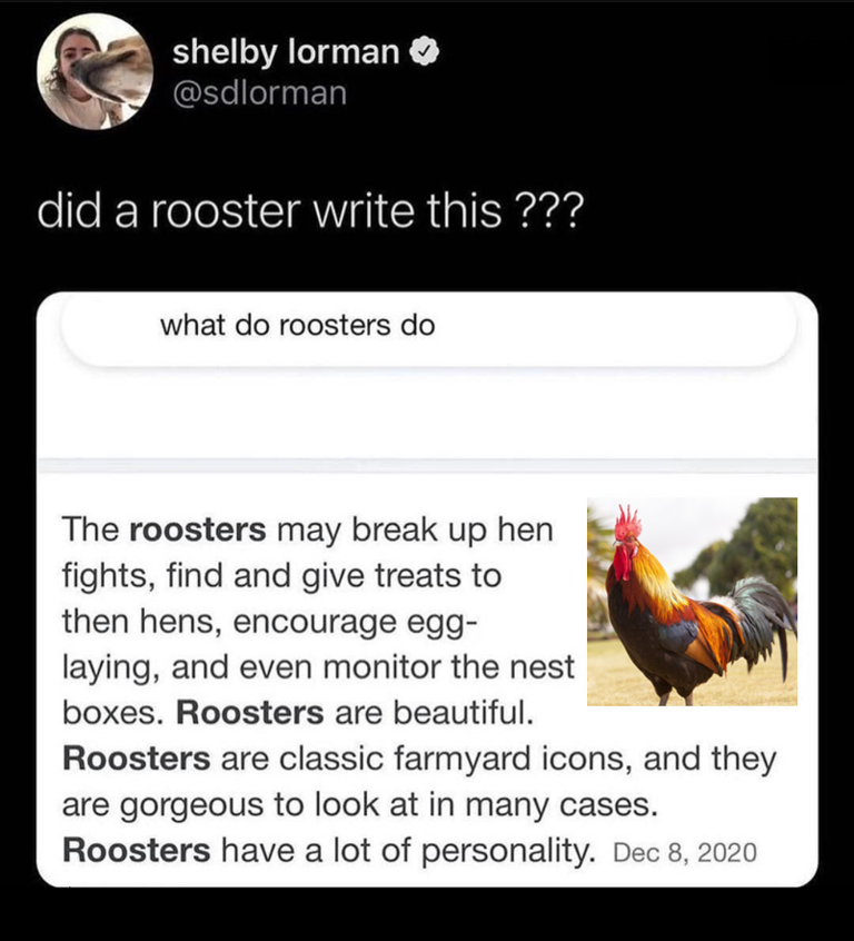 36+ suspiciously specific Reddit posts