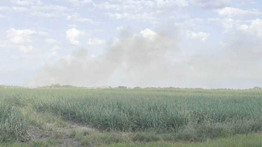 Two seriously injured in light plane crash south of Brisbane