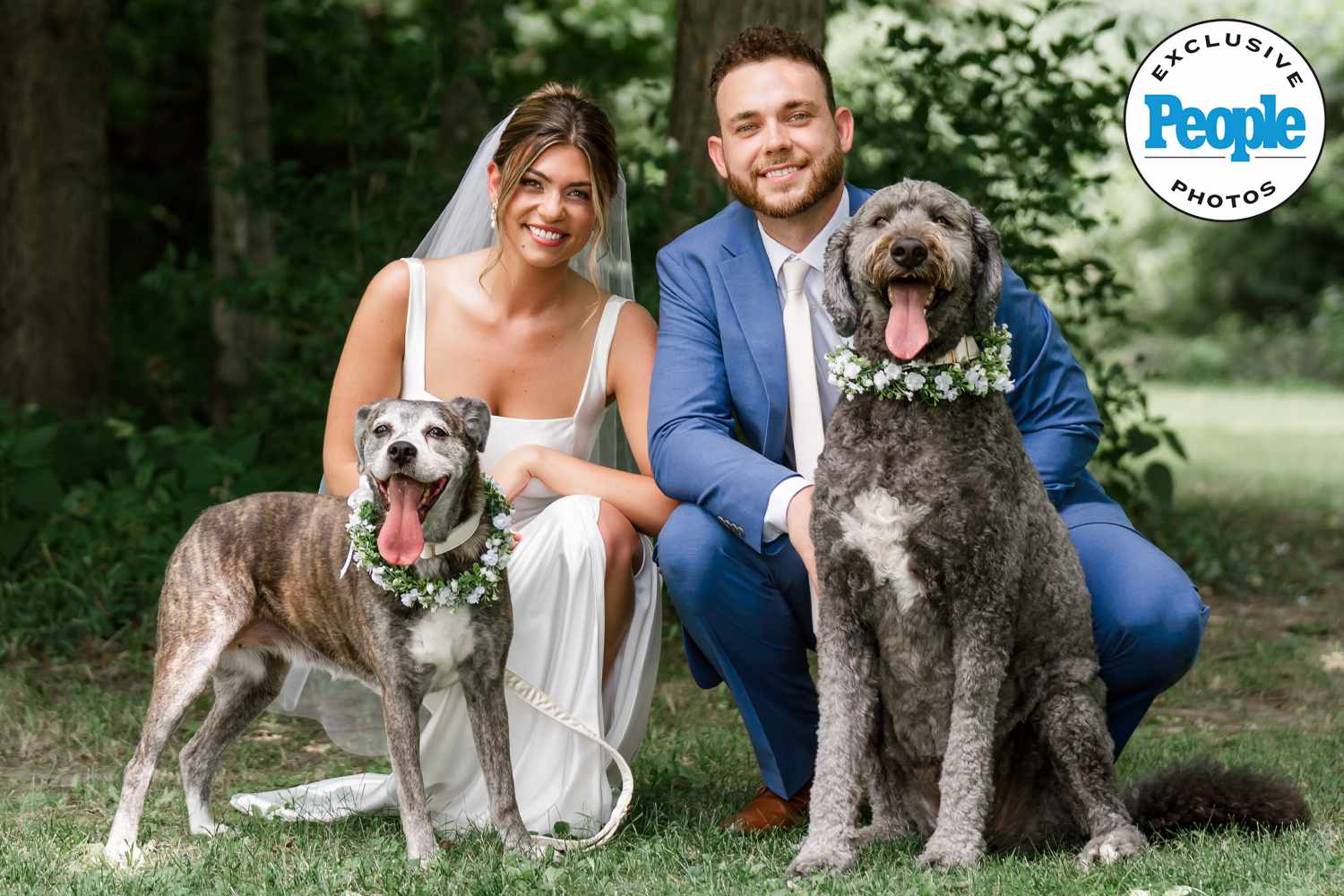 Bride surprises groom with their dogs as flower girls at wedding: 'They ...