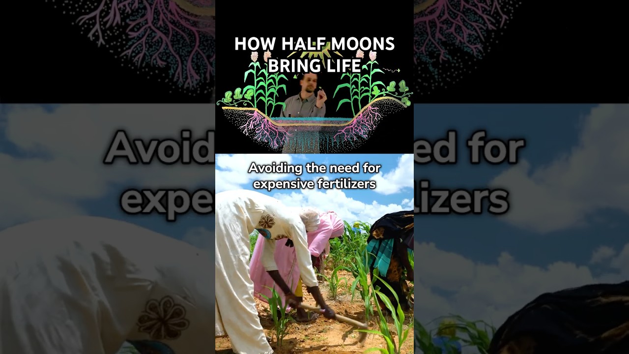 How a half-moon can change lives