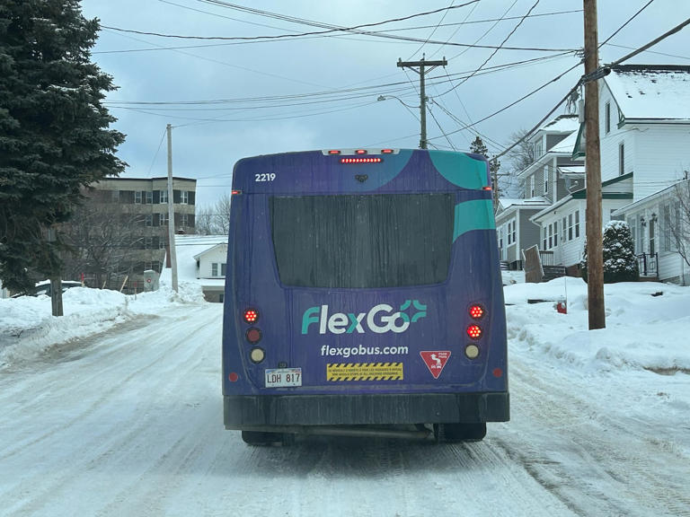 Bathurst latest northern community to launch public transit system