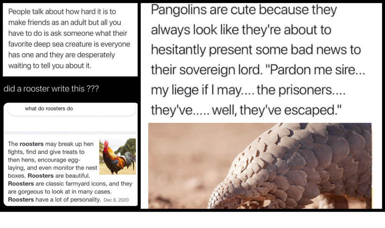 36+ suspiciously specific Reddit posts