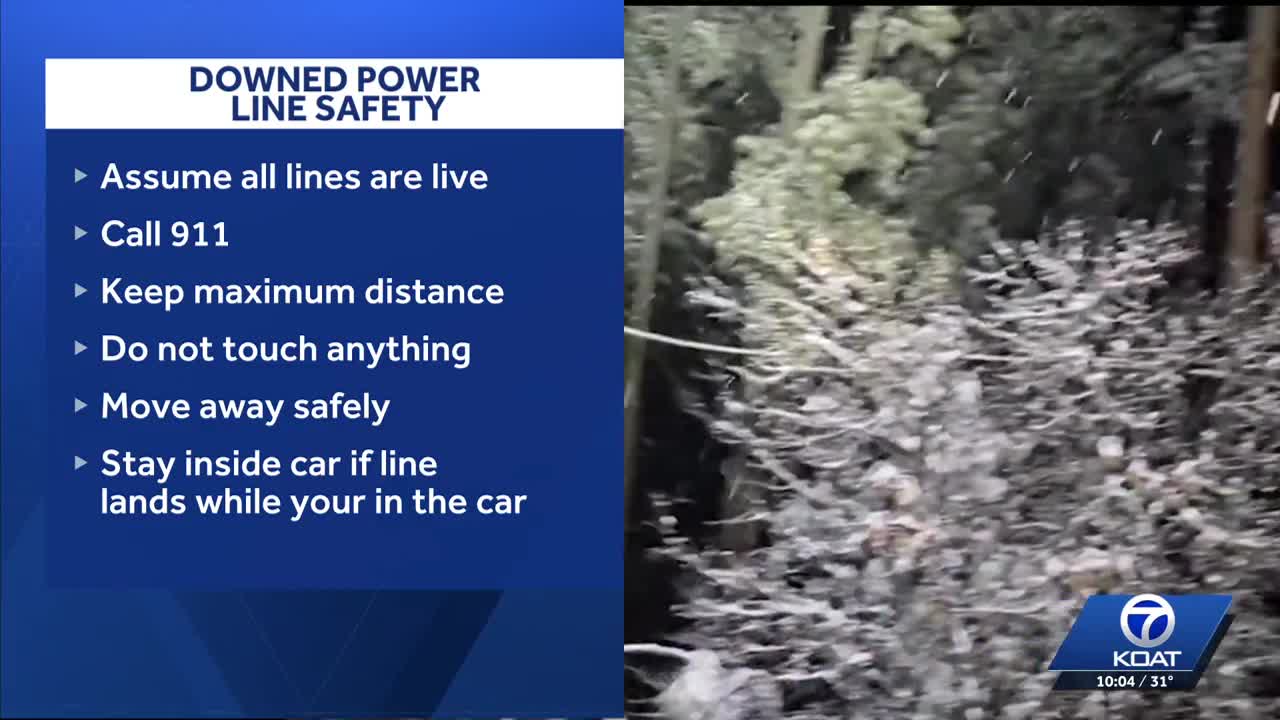 Power lines downed by ice pose an extreme danger