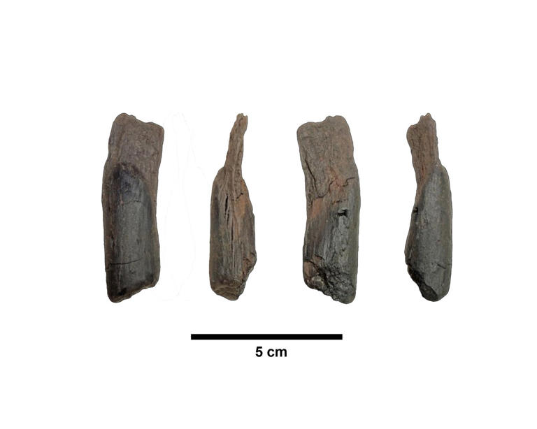 Scientists recover the oldest wooden tools from a site in Greece