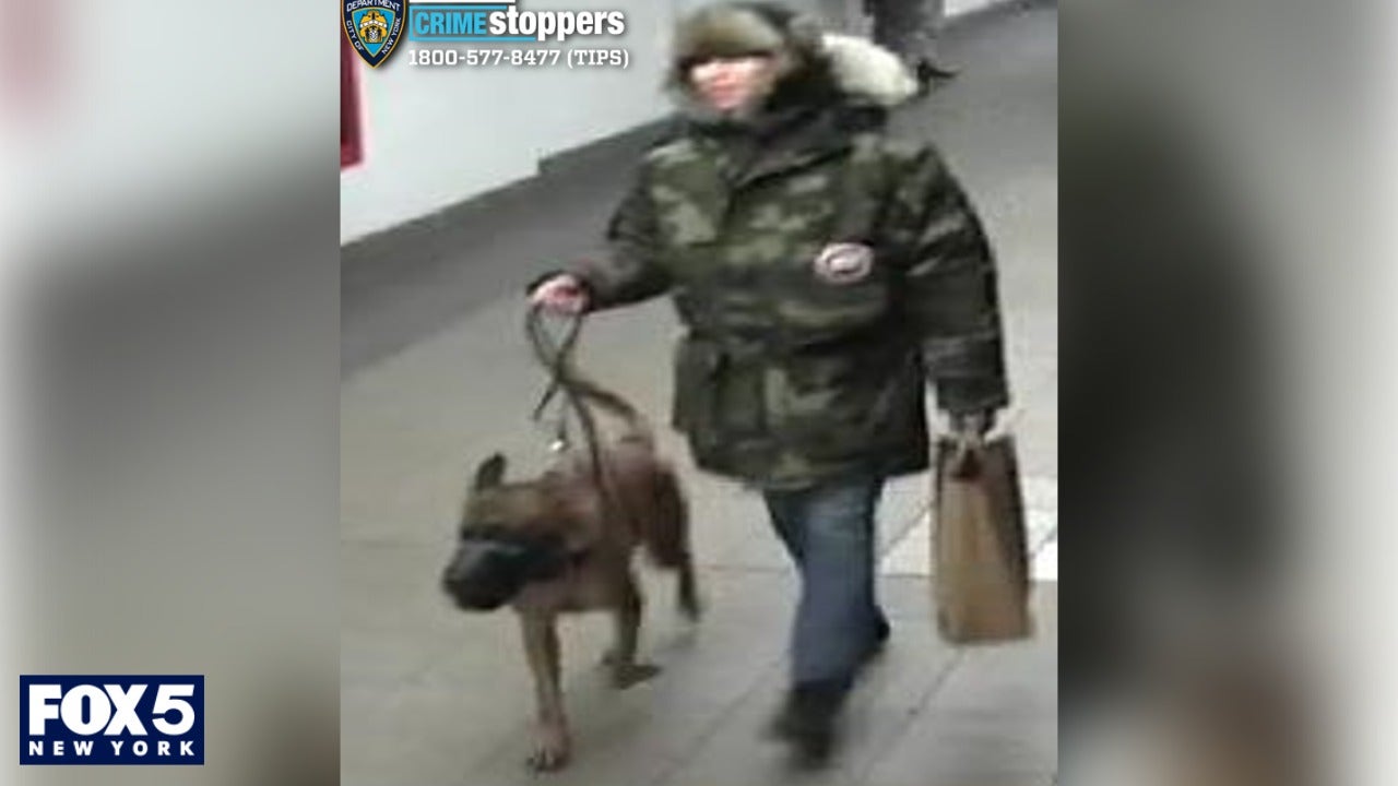 Man allegedly ordered his dog to bite 54-year-old in subway station ...