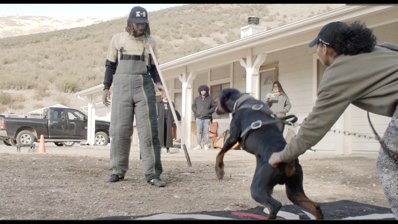 Women handling powerful dog breeds: Doberman Pinscher