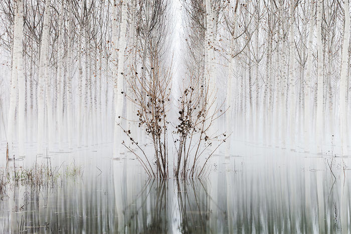 The 30 winning pictures of the 2019 Nature Photographer of the Year