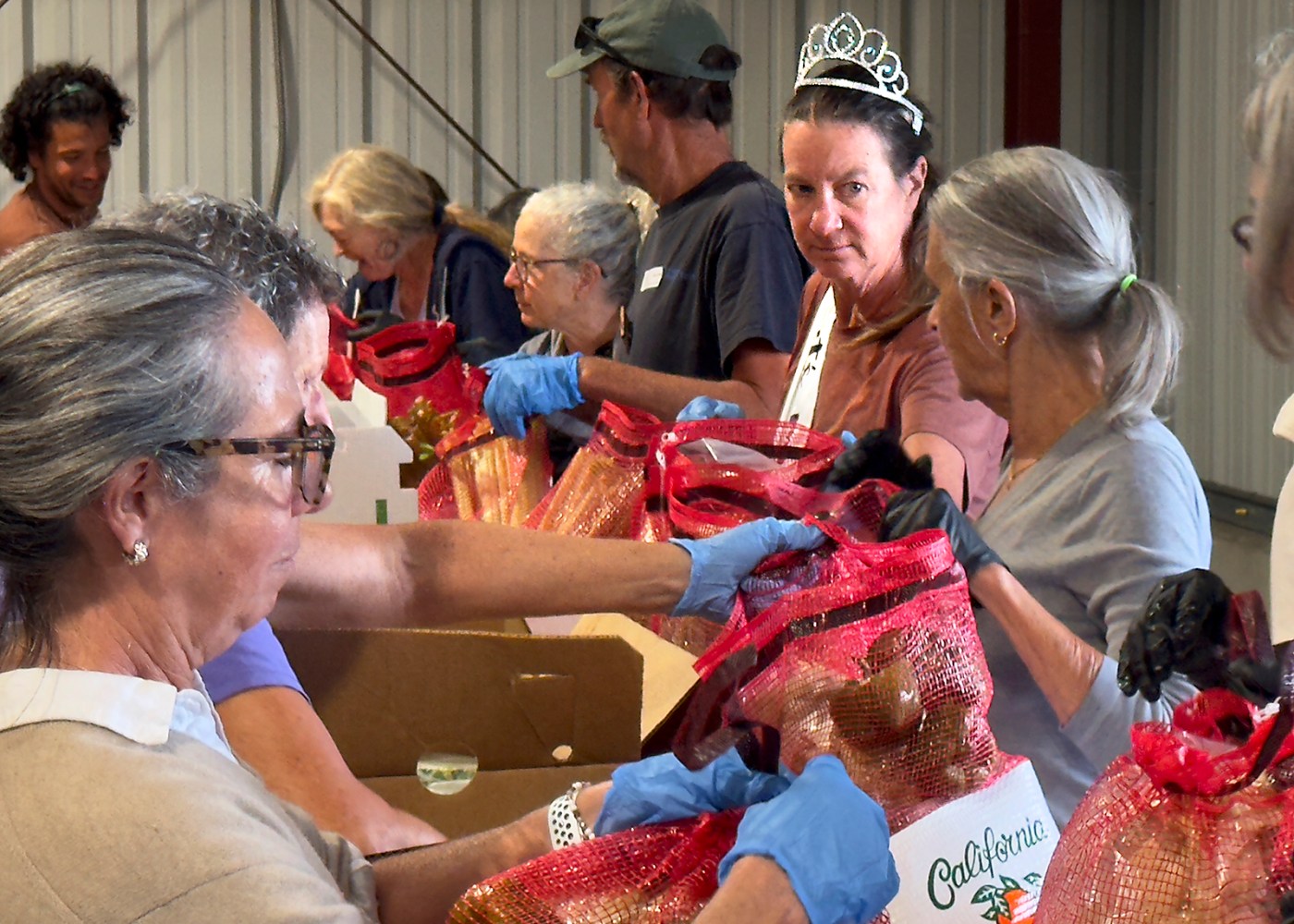 Central Coast nonprofits team up to feed 100 families at Live Oak food ...