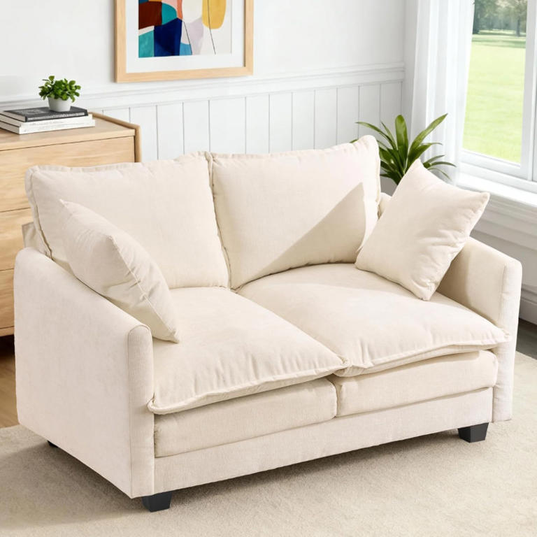 Upgrade your space with a cloud-like loveseat: Now only $200 on Amazon!