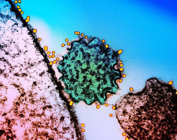 COVID-era monitoring reinstated in after outbreak of deadly virus that ...