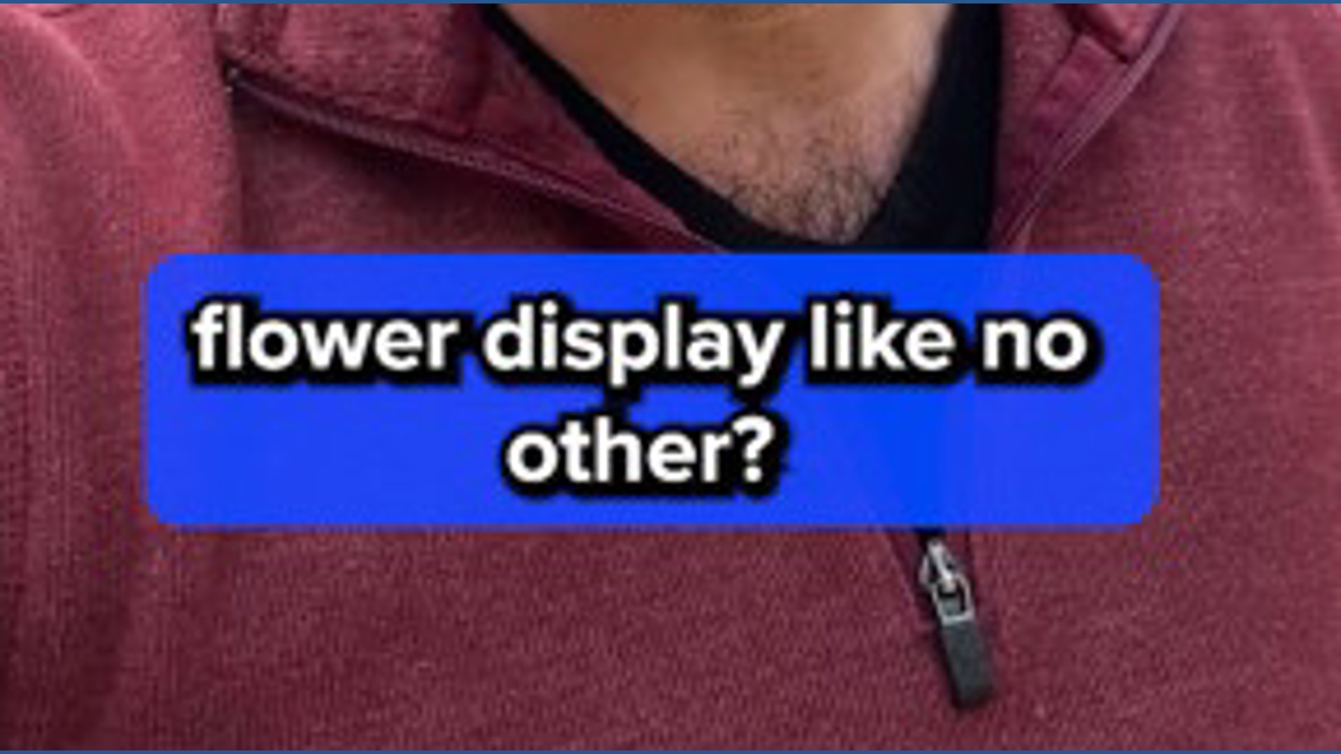 Ananda Village a spring flower display