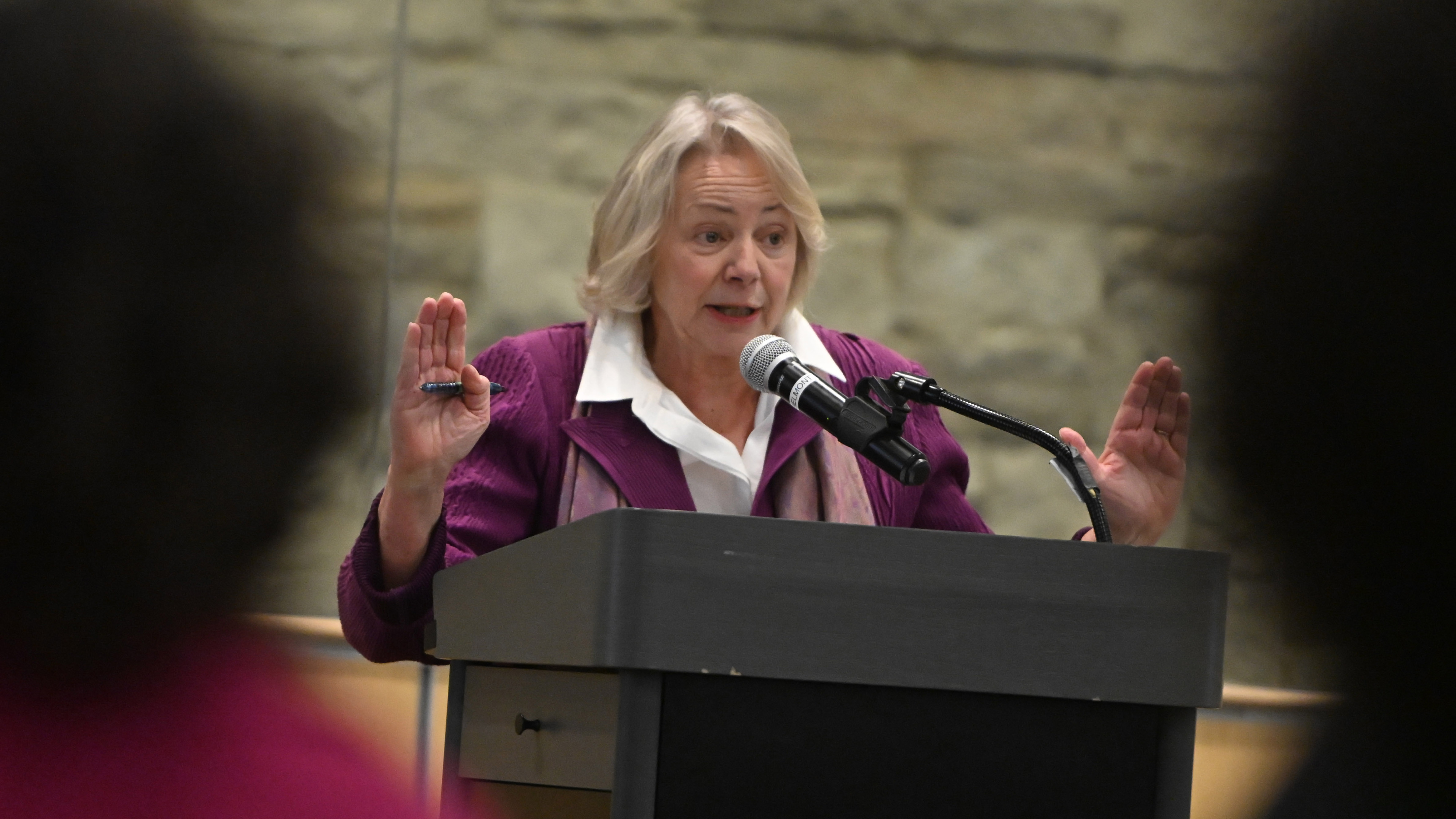 Deb Jung aims to take 'pay to play' out of Howard County executive race