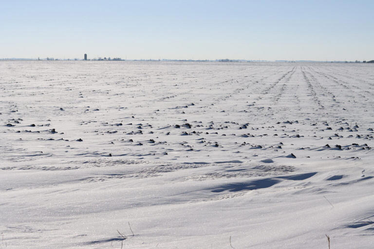 How do manure management plans work in Iowa?