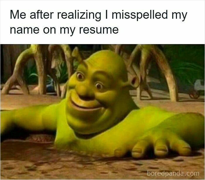 52 hilarious resume memes that might be painfully relatable
