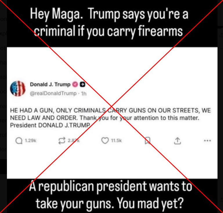 Fake Trump Truth on guns spreads after protester shot dead in Minnesota