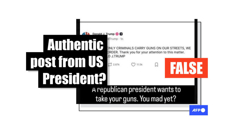 Fake Trump Truth on guns spreads after protester shot dead in Minnesota