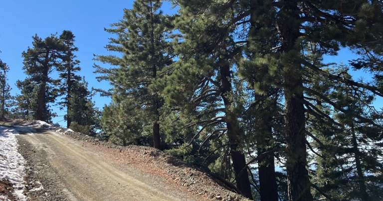 Don't try this Southern California hike if you're afraid of heights