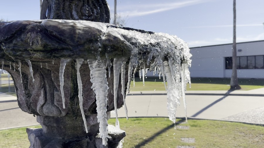 Photos: Cold front brings freezing temperatures, ice to Rio Grande Valley