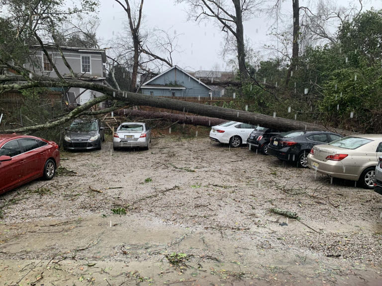 Straight-line winds cause significant damage in Cloverdale
