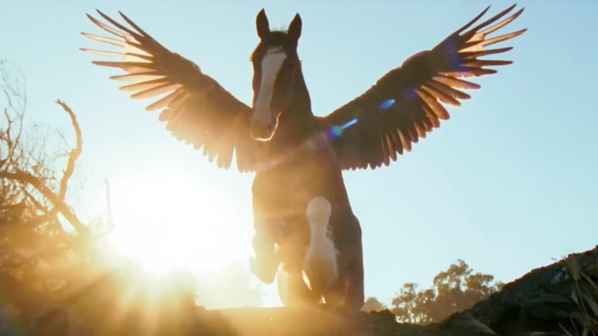 Budweiser’s Clydesdale takes flight in extended Super Bowl LX ...