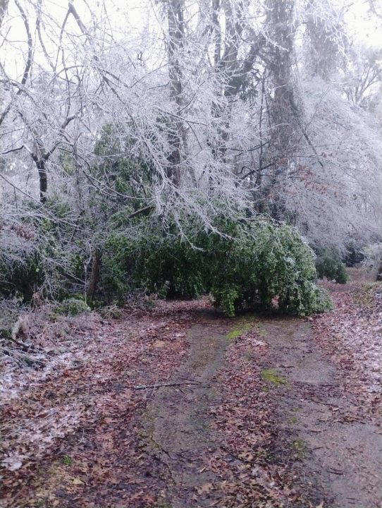Power outage, road hazards plague Adams County post-storm