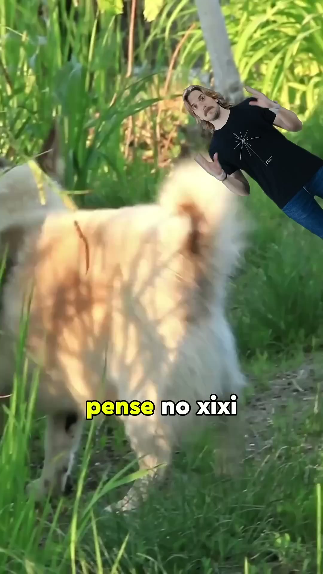 É verdade que a urina precisa ser transparente?