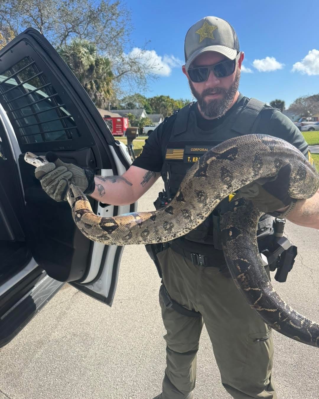 Owner picks up massive snake wrangled by deputy in Florida