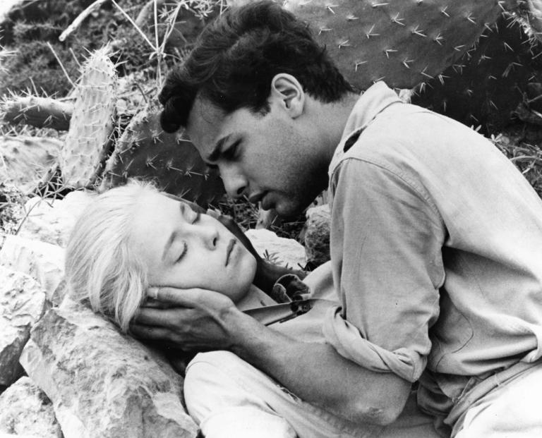 Bluttat in Hollywood: Filmstar schreit um Hilfe – auf offener Straße ...