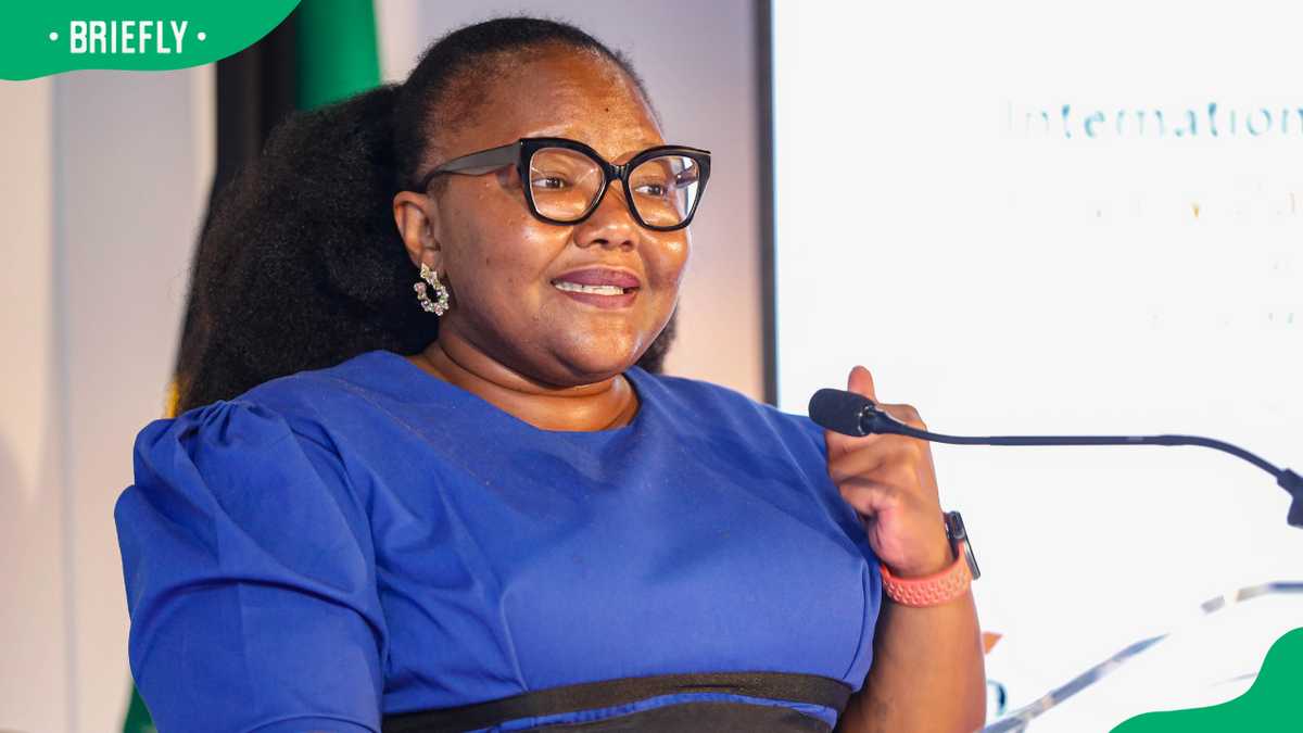 South Africa registers over 253,000 foreign learners