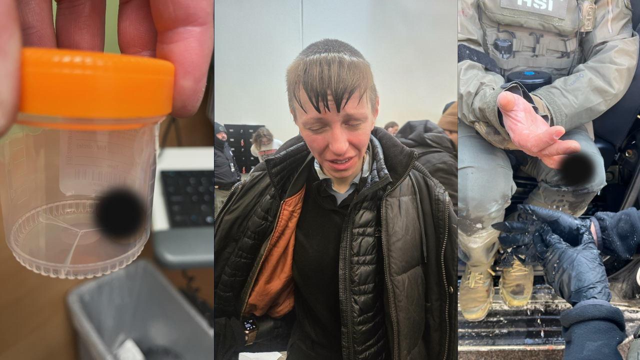 Minneapolis deaths of Renee Good and Alex Pretti: What is ICE and what ...