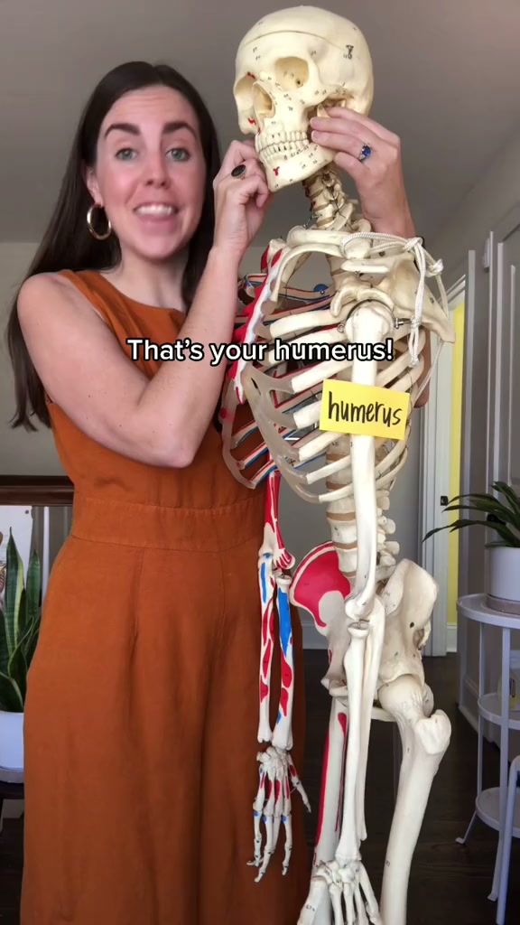 How many bones can you name in this quick quiz