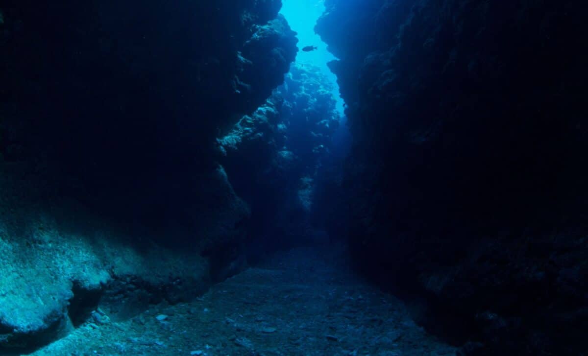 10,000 feet below the ocean, scientists find massive megalodon tooth in ...