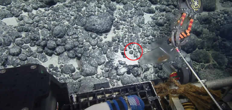 10,000 feet below the ocean, scientists find massive megalodon tooth in ...
