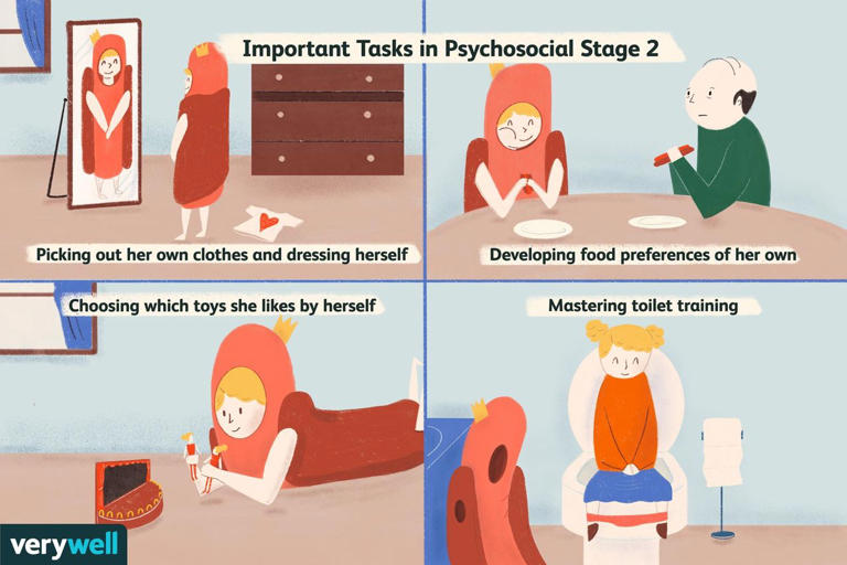 Autonomy vs. shame and doubt: Psychosocial development stage 2