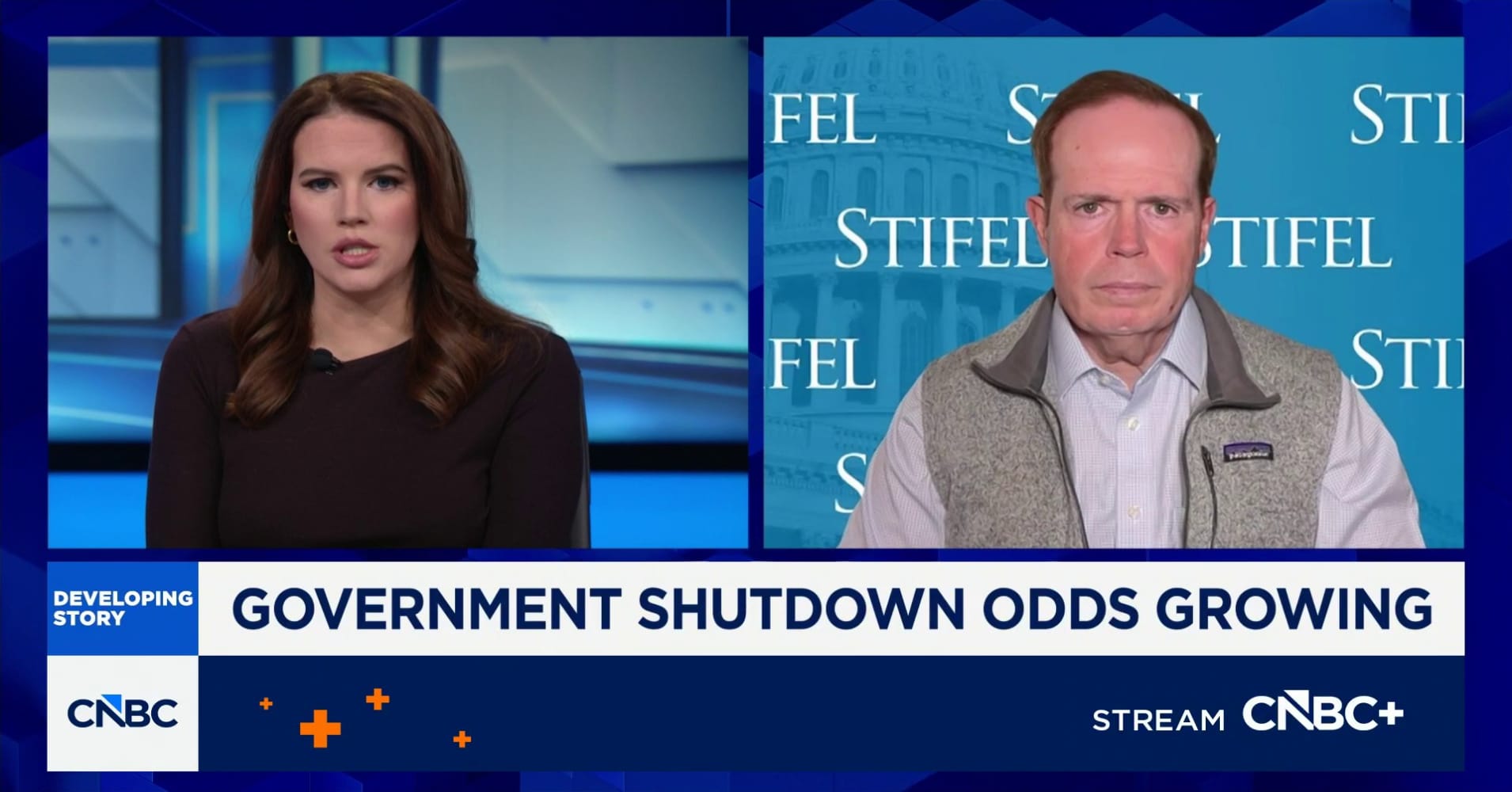Partial government shutdown now base case for Congress, says Stifel's ...