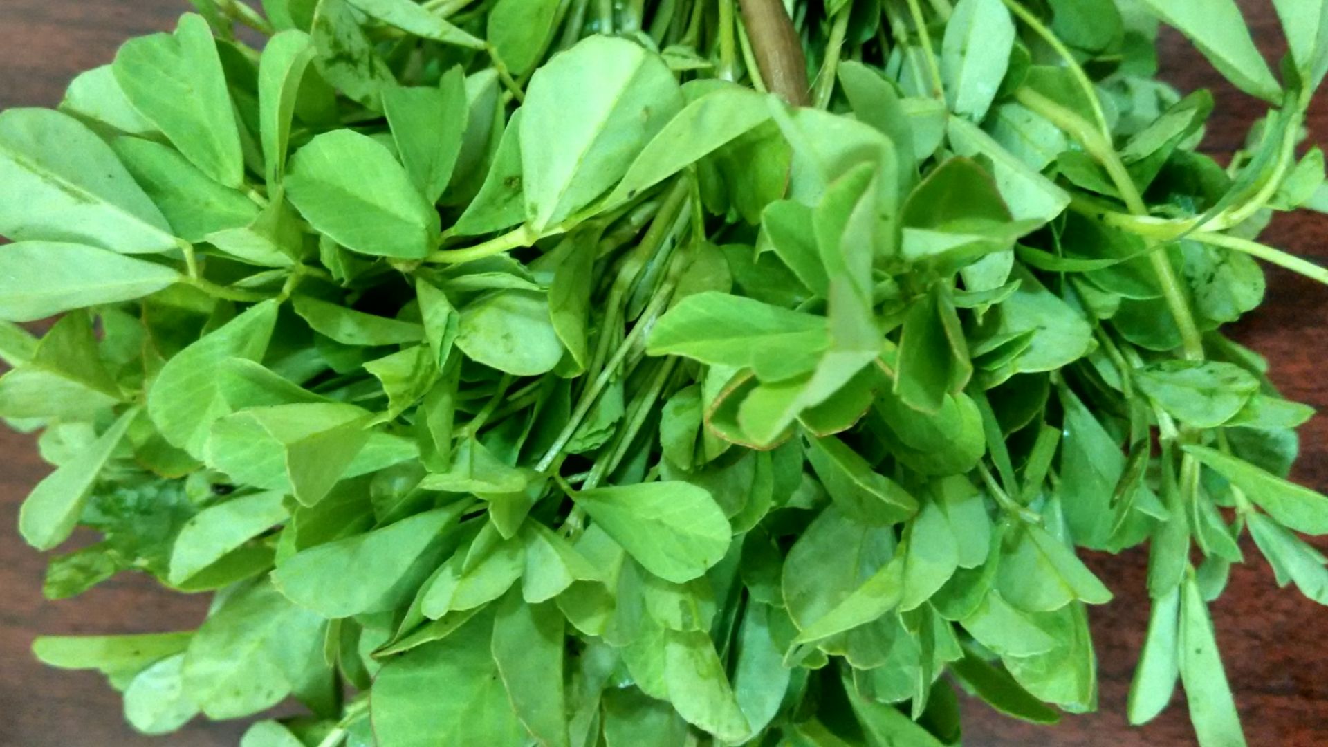 10 herbs you should never put on salmon & 10 that always bring the flavor