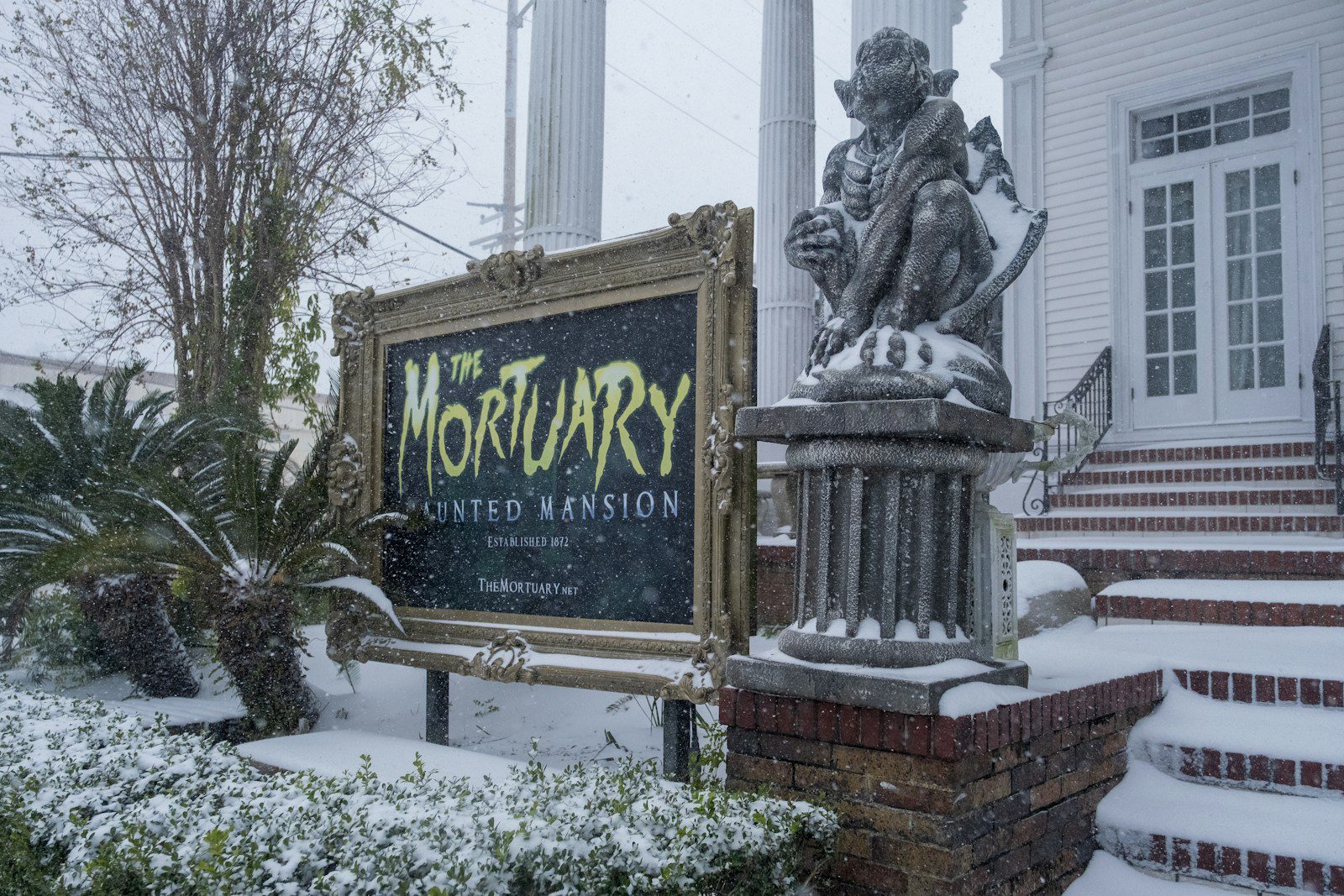 At least three deaths reported in Louisiana linked to winter storm ...