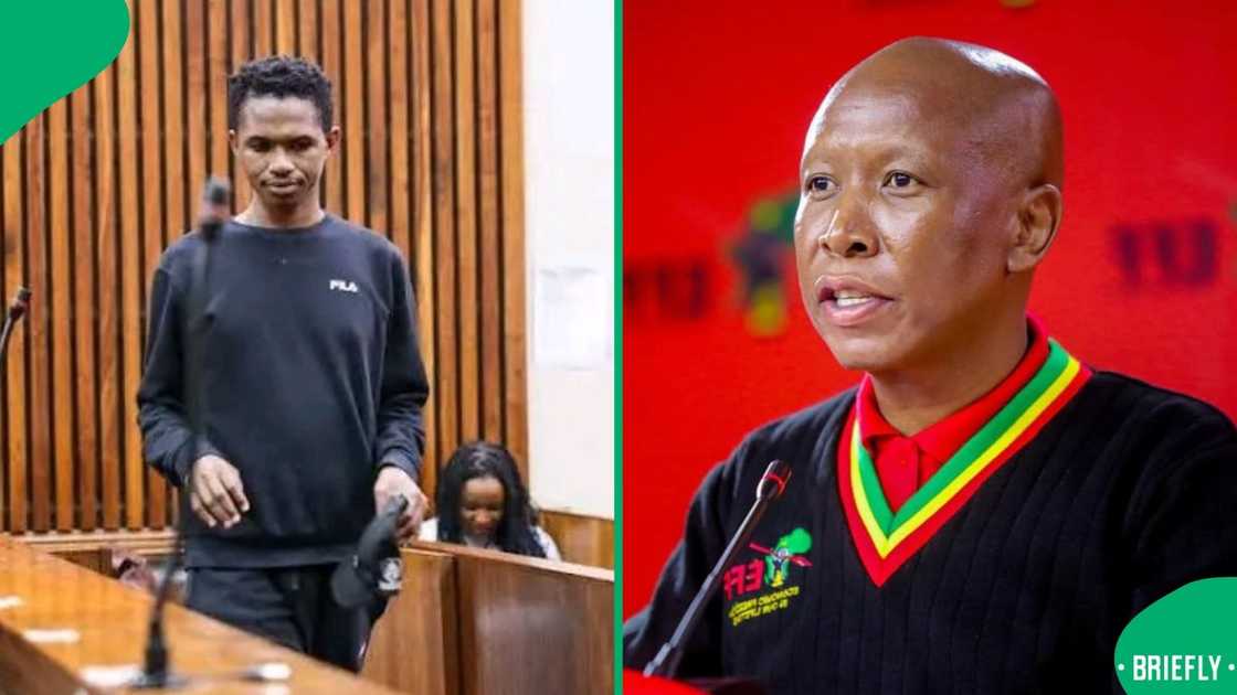 Is Julius Malema having an affair? Here's what Musa Khawula said