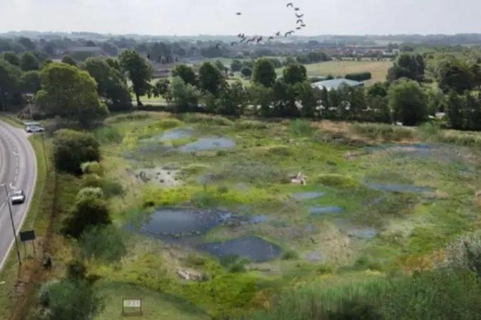 Wetland nature reserve plan for Horncastle flood-zone takes big step ...