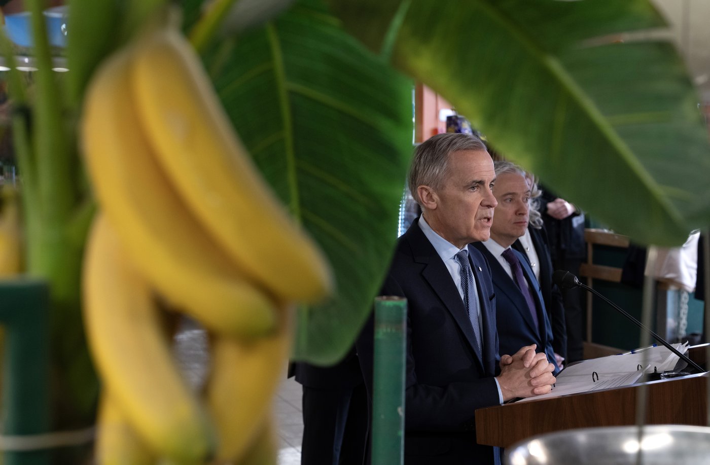 Carney pitches GST rebate boost as major plank of Liberal affordability ...