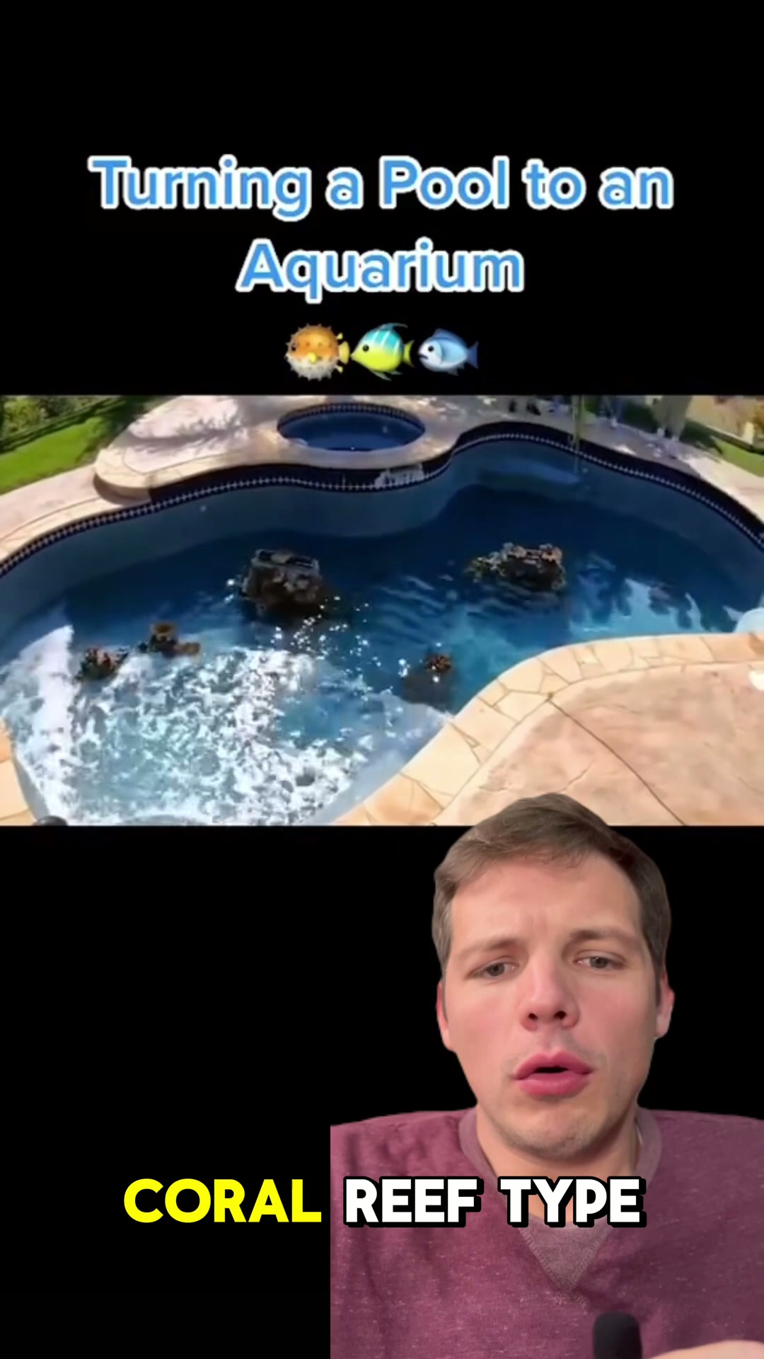 Backyard coral reef?