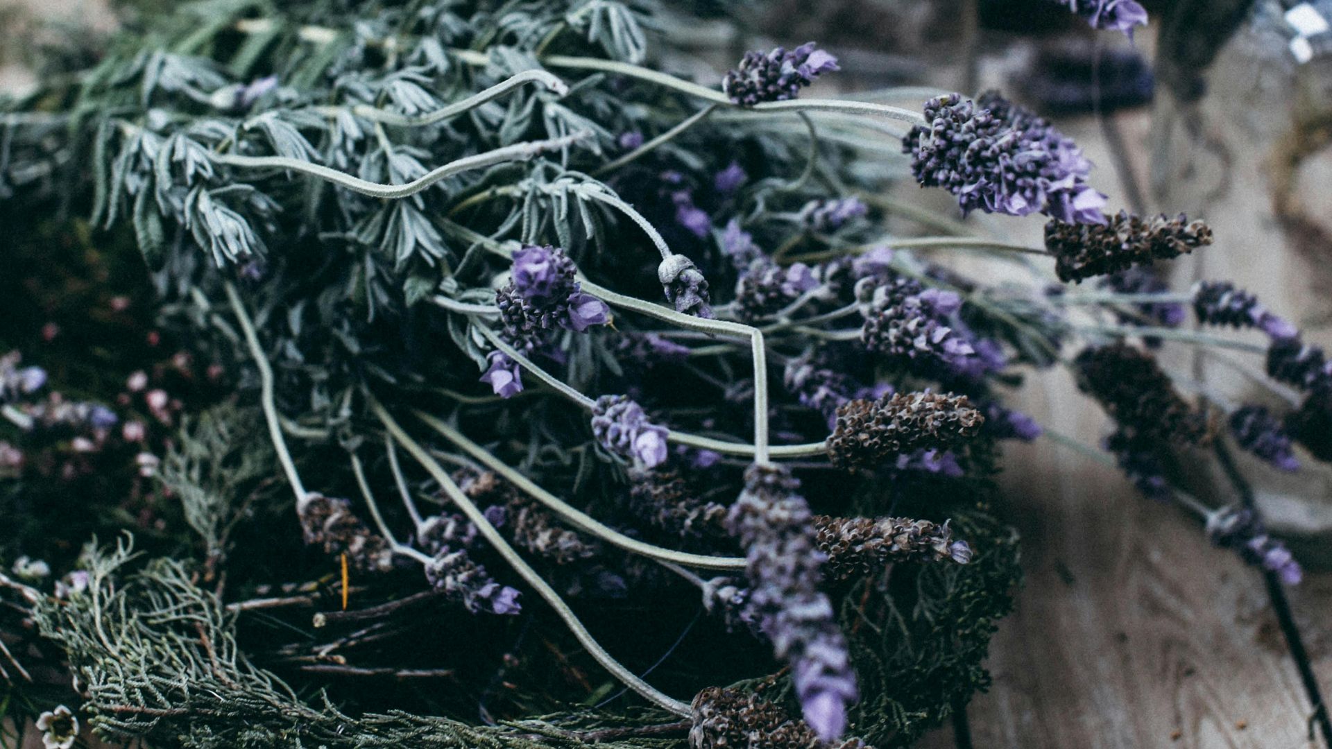 10 herbs you should never put on salmon & 10 that always bring the flavor