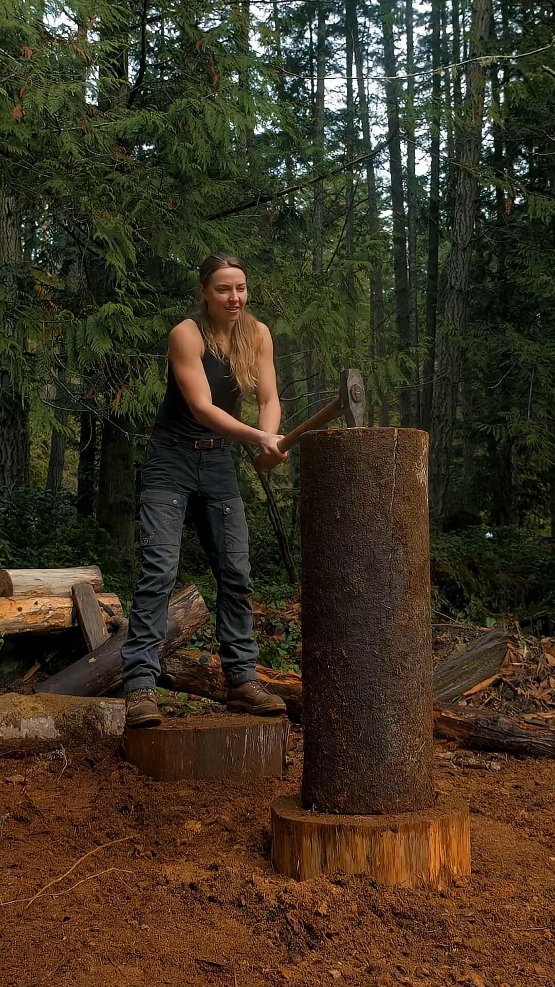 Rural big leaf maple harvest | Woodchopping