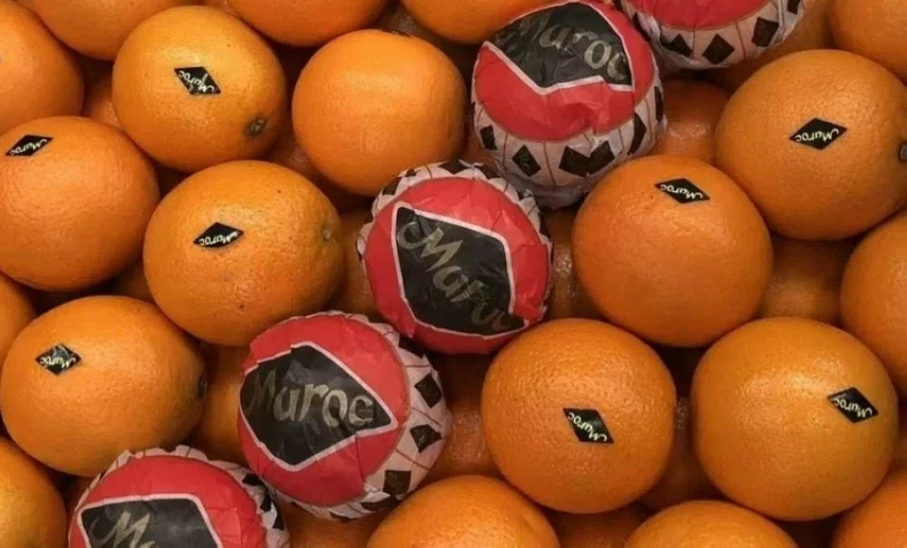 France rejects pro-Polisario MP’s demand on Sahara product labeling