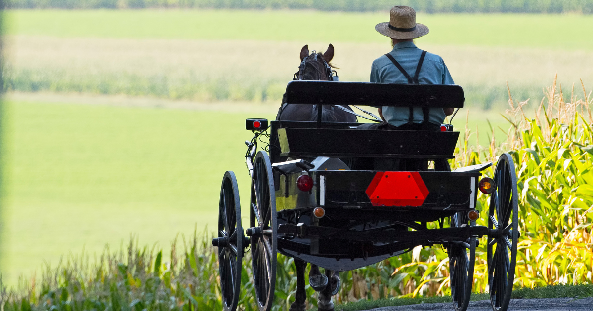 Kentucky's hidden gem: A tiny Amish town perfect for a quick getaway