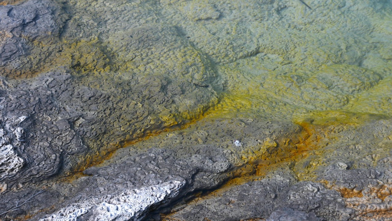 USGS says Yellowstone has risen 1 inch since July, echoing pattern ...