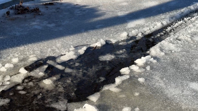 Major storm wraps trees and coats streets in ice in North Carolina