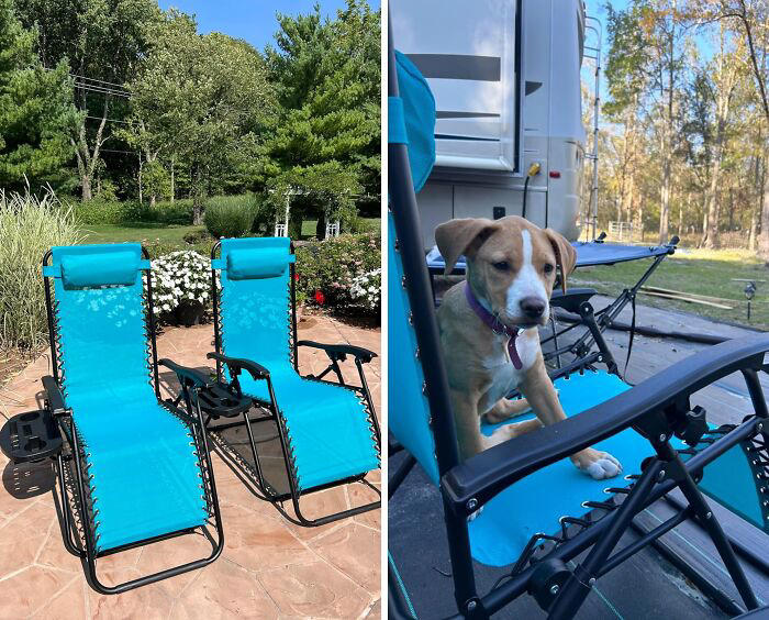 Unexpected 39 Amazon items that sell out extremely fast